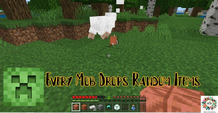 Addon: Minecraft But Every Mob Drop Random Item » mcpeland.io