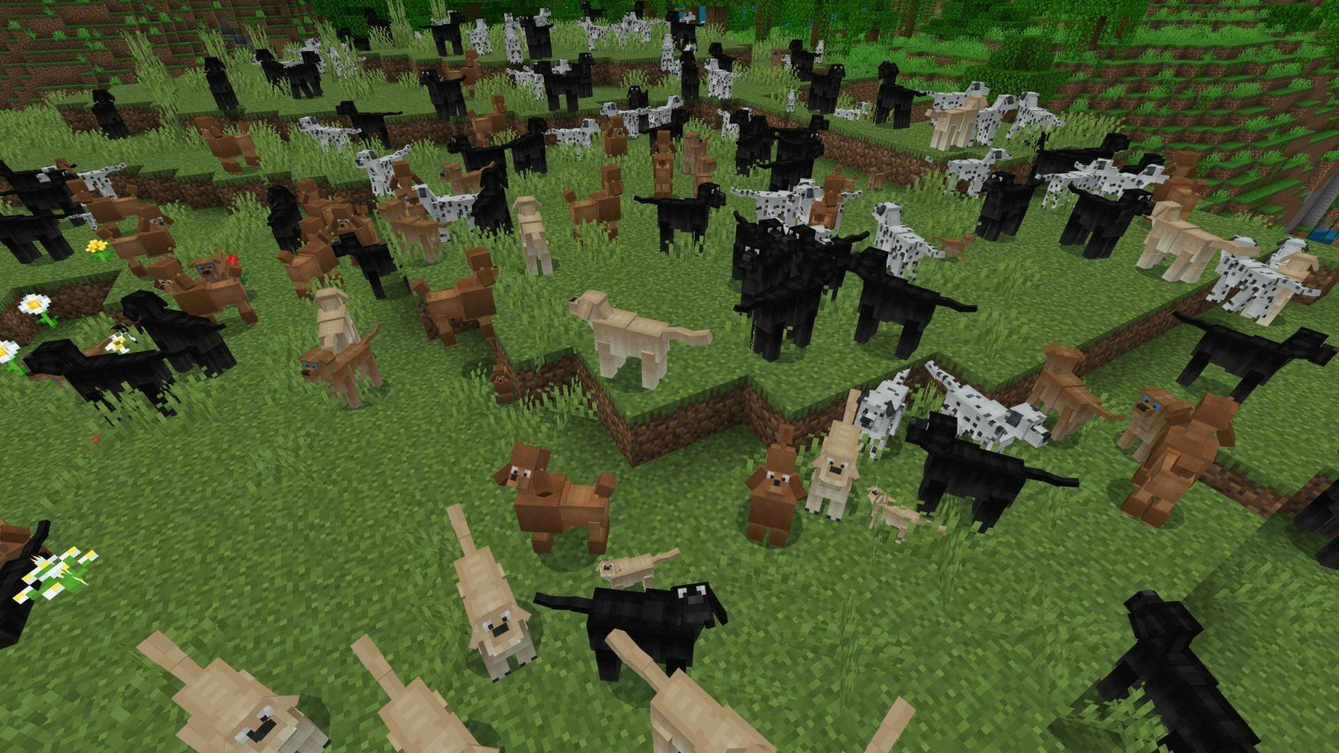 Download Dogs Addon for Minecraft.